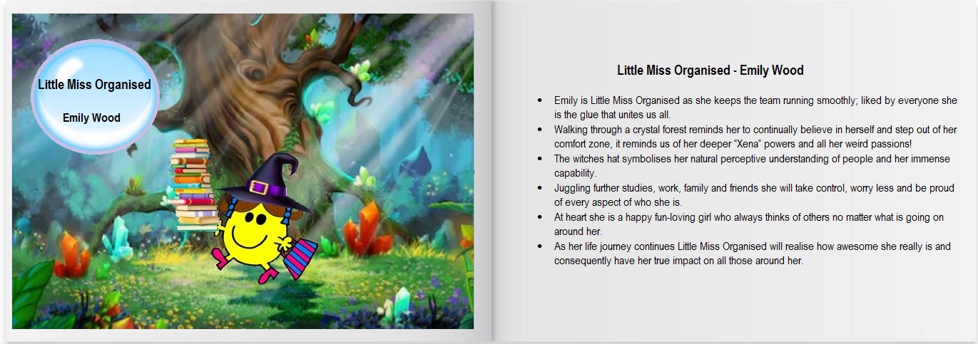 CTC Little Miss & Mr Men Characters - CT Consulting